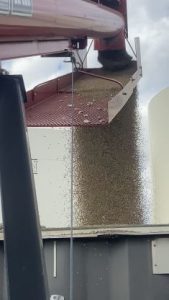 Grain Auger Fertilizer Screen | Raczynski Sales